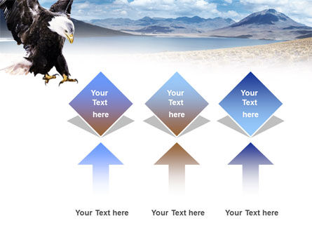 North American Eagle PowerPoint Template, Backgrounds | 00863 ...