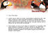 Ornithology - Free Presentation Template for Google Slides and ...