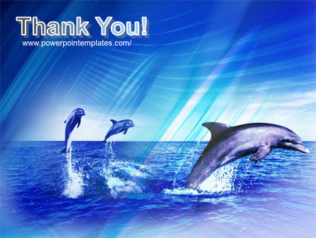 Dolphins PowerPoint Template, Backgrounds | 00958 | PoweredTemplate.com