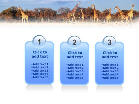 Giraffe PowerPoint Template, Backgrounds | 01097 | PoweredTemplate.com