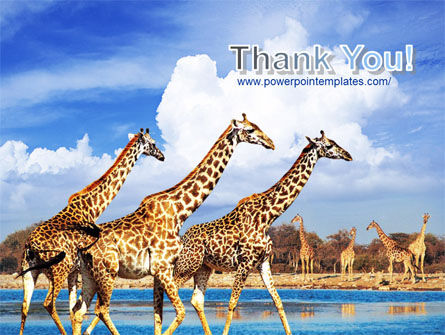 Giraffe PowerPoint Template, Backgrounds | 01097 | PoweredTemplate.com