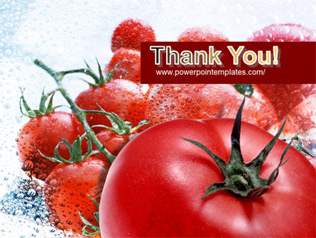 Tomatoes PowerPoint Template, Backgrounds | 01182 | PoweredTemplate.com