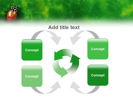 Bug PowerPoint Template, Backgrounds | 01745 | PoweredTemplate.com