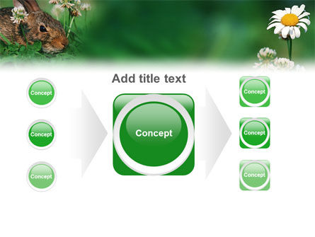 Rabbit PowerPoint Template, Backgrounds | 01815 | PoweredTemplate.com