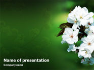 Blooming Cherry Tree In The Spring Word Template 02065 ...