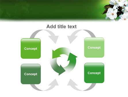 Blooming Cherry Tree In The Spring PowerPoint Template, Backgrounds ...