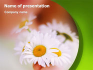 Daisy - Free Presentation Template for Google Slides and PowerPoint ...