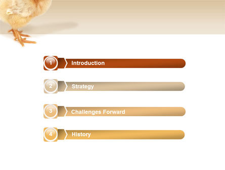 Chicken PowerPoint Template, Backgrounds | 02737 | PoweredTemplate.com