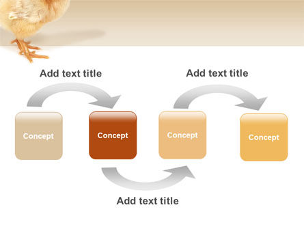 Plantilla de PowerPoint - pollo, fondos | 02737 | PoweredTemplate.com