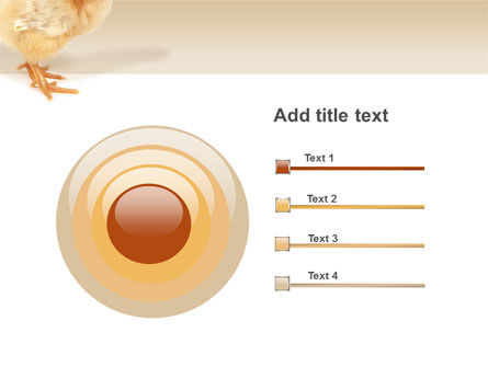 Chicken PowerPoint Template, Backgrounds | 02737 | PoweredTemplate.com