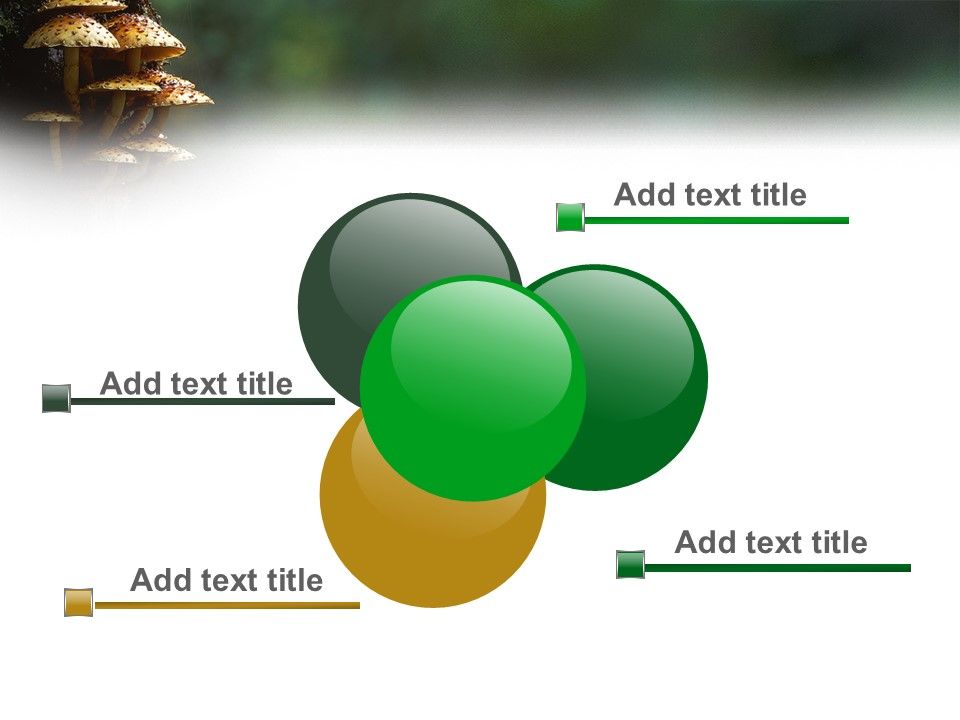 Fungi In The forest PowerPoint Template, Backgrounds | 02756 ...