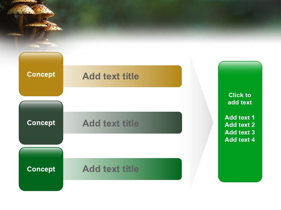 Fungi In The forest PowerPoint Template, Backgrounds | 02756 ...