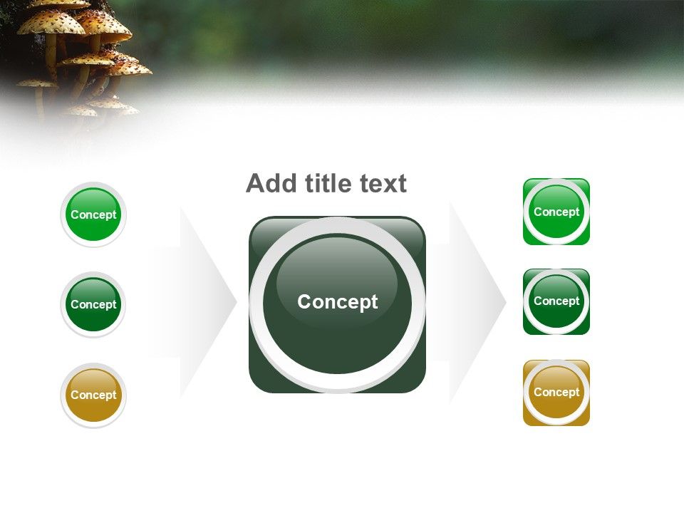 Templat PowerPoint Jamur Di Hutan, Gambar Latar | 02756 ...