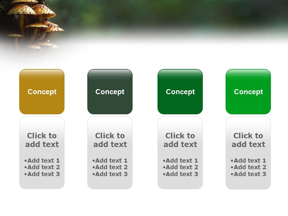 Fungi In The forest PowerPoint Template, Backgrounds | 02756 ...