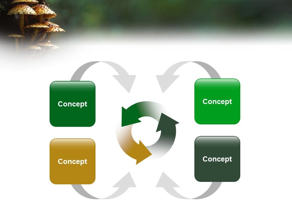 Fungi In The forest PowerPoint Template, Backgrounds | 02756 ...