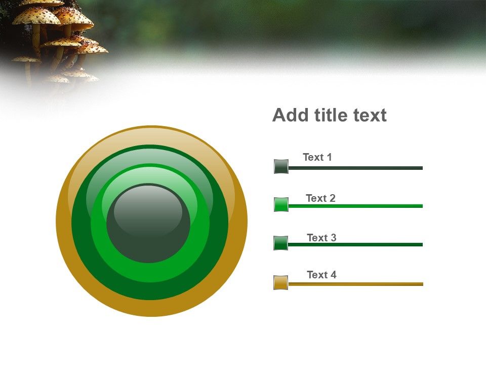 Fungi In The forest PowerPoint Template, Backgrounds | 02756 ...