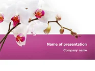 Templat PowerPoint Buket Bunga, Gambar Latar | 03033 | PoweredTemplate.com