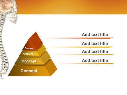 Spinal Cord PowerPoint Template, Backgrounds | 03254 | PoweredTemplate.com