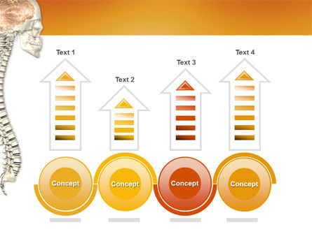 Spinal Cord PowerPoint Template, Backgrounds | 03254 | PoweredTemplate.com
