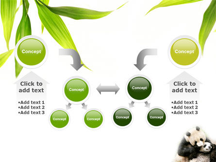 Panda PowerPoint Template, Backgrounds | 04479 | PoweredTemplate.com