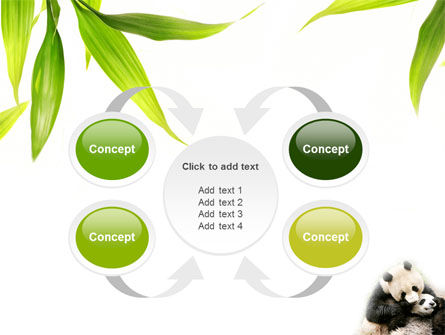 Panda PowerPoint Template, Backgrounds | 04479 | PoweredTemplate.com