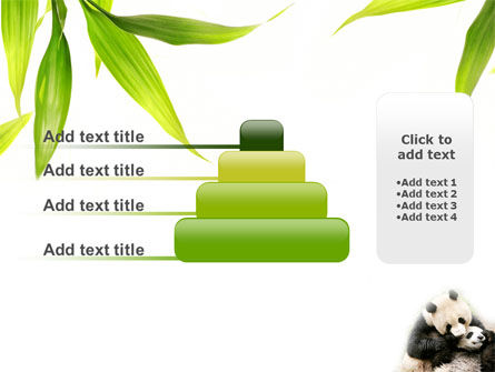Panda PowerPoint Template, Backgrounds | 04479 | PoweredTemplate.com