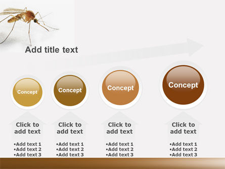 Mosquito PowerPoint Template, Backgrounds | 04599 | PoweredTemplate.com