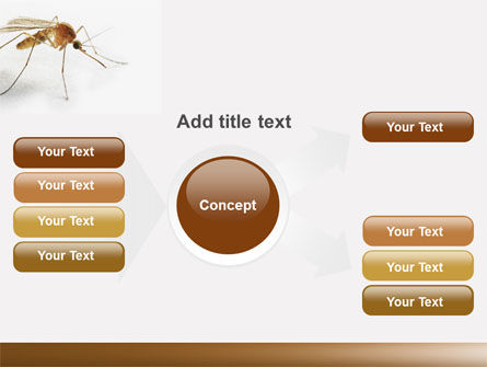 Mosquito PowerPoint Template, Backgrounds | 04599 | PoweredTemplate.com
