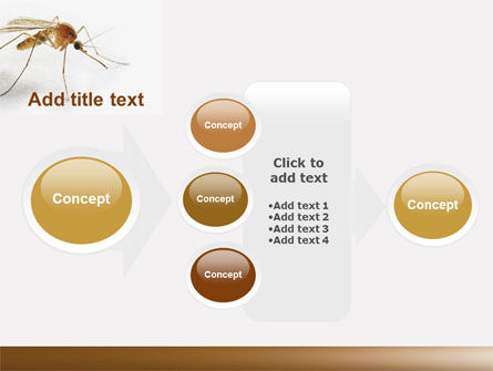 Mosquito PowerPoint Template, Backgrounds | 04599 | PoweredTemplate.com