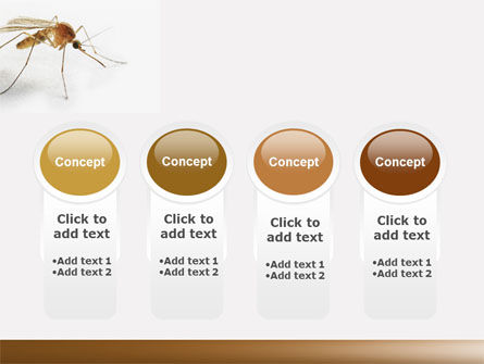 Mosquito PowerPoint Template, Backgrounds | 04599 | PoweredTemplate.com