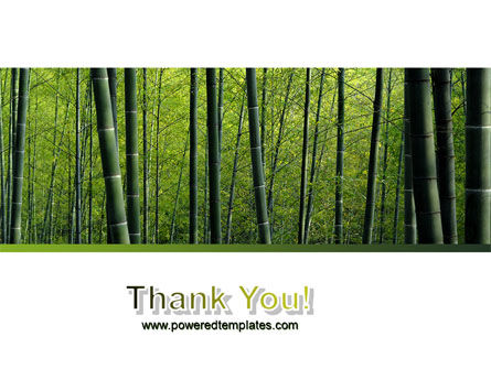 Bamboo PowerPoint Template, Backgrounds | 04836 | PoweredTemplate.com