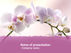 Orchid - Free Presentation Template for Google Slides and PowerPoint ...