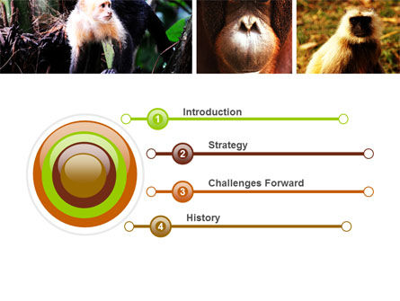 Plantilla de PowerPoint - primates, fondos | 05820 | PoweredTemplate.com