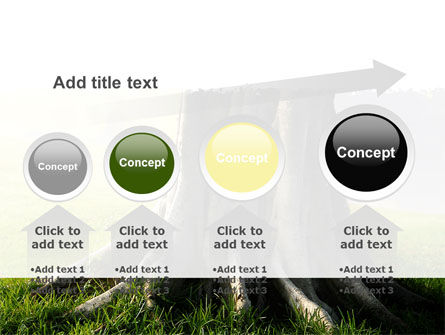 Tree Trunk PowerPoint Template, Backgrounds | 06142 | PoweredTemplate.com