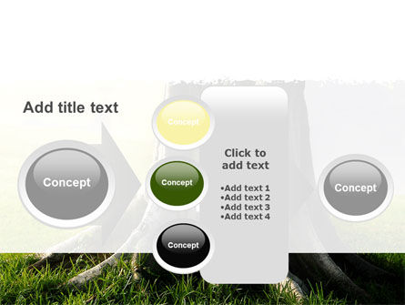 Tree Trunk PowerPoint Template, Backgrounds | 06142 | PoweredTemplate.com