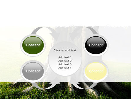 Tree Trunk PowerPoint Template, Backgrounds | 06142 | PoweredTemplate.com