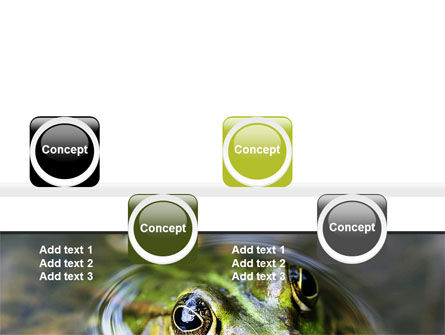 Marsh Frog PowerPoint Template, Backgrounds | 06553 | PoweredTemplate.com