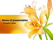 Yellow Lily - Free Presentation Template for Google Slides and ...