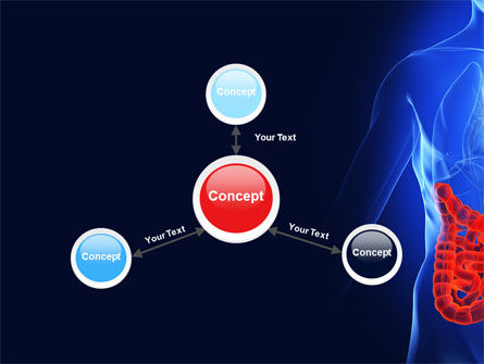 Intestines PowerPoint Template, Backgrounds | 06738 | PoweredTemplate.com