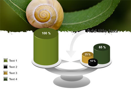 Snail Shell PowerPoint Template, Backgrounds | 06761 | PoweredTemplate.com