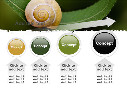 Snail Shell PowerPoint Template, Backgrounds | 06761 | PoweredTemplate.com