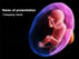 Fetus PowerPoint Template, Backgrounds | 06851 | PoweredTemplate.com
