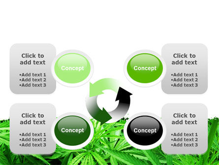 Cannabis PowerPoint Template, Backgrounds | 07243 | PoweredTemplate.com