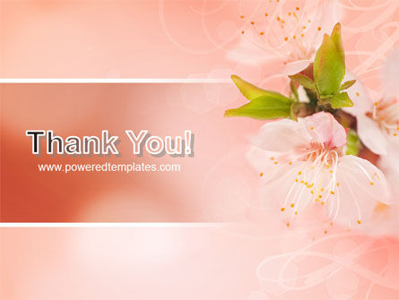 Peach Colored PowerPoint Template, Backgrounds | 07380 ...