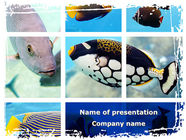 Tropical Fish Collage - Free Presentation Template for Google Slides ...