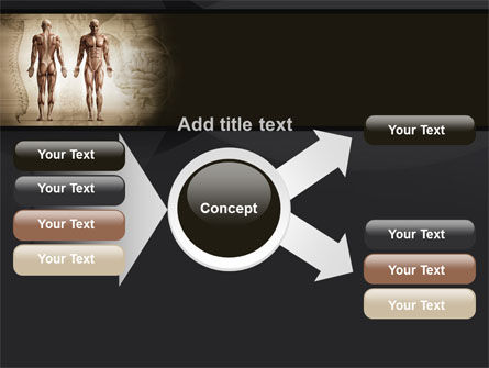 Male Body Anatomy PowerPoint Template, Backgrounds | 09632 ...