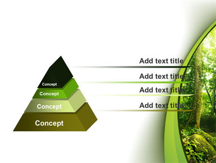 Modèle PowerPoint de arbres dans la forêt, Arrière-plans | 09985 ...