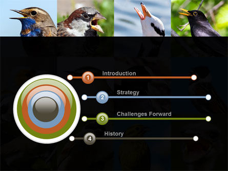 Birds PowerPoint Template, Backgrounds | 10528 | PoweredTemplate.com