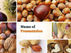 Nuts Collage - Free Presentation Template for Google Slides and ...