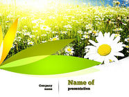 Ox-eye Daisy Camomile - Free Presentation Template for Google Slides ...